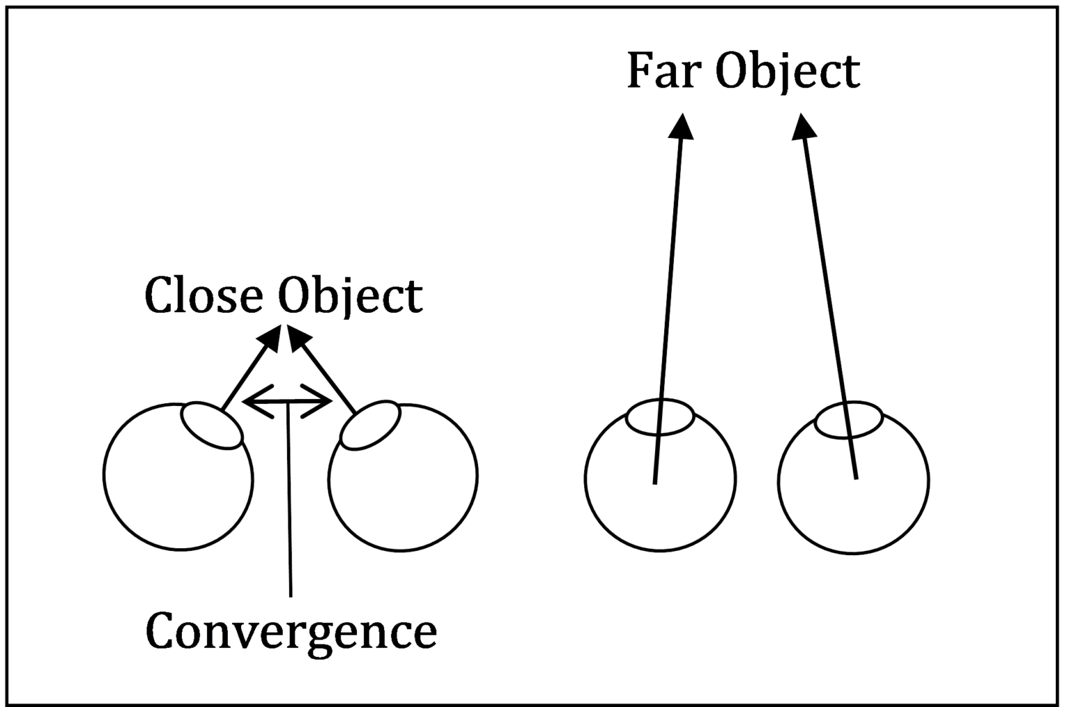 Binocular and Monocular Cues in Depth Perception | Warren Forensics Binocular and Monocular Cues in Depth Perception | Warren Forensics